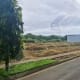 Land León | venta | Terreno en Venta Resd. Las Palmeras : NIO 22500.00