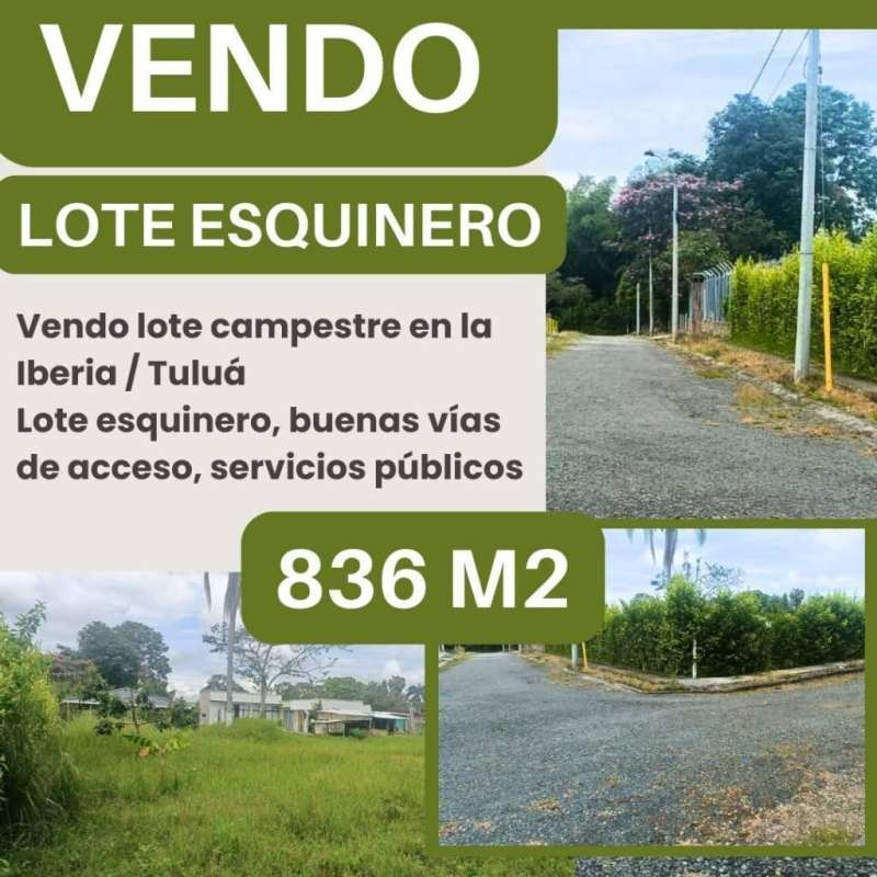 Ilustraci guarantee n de Patr n