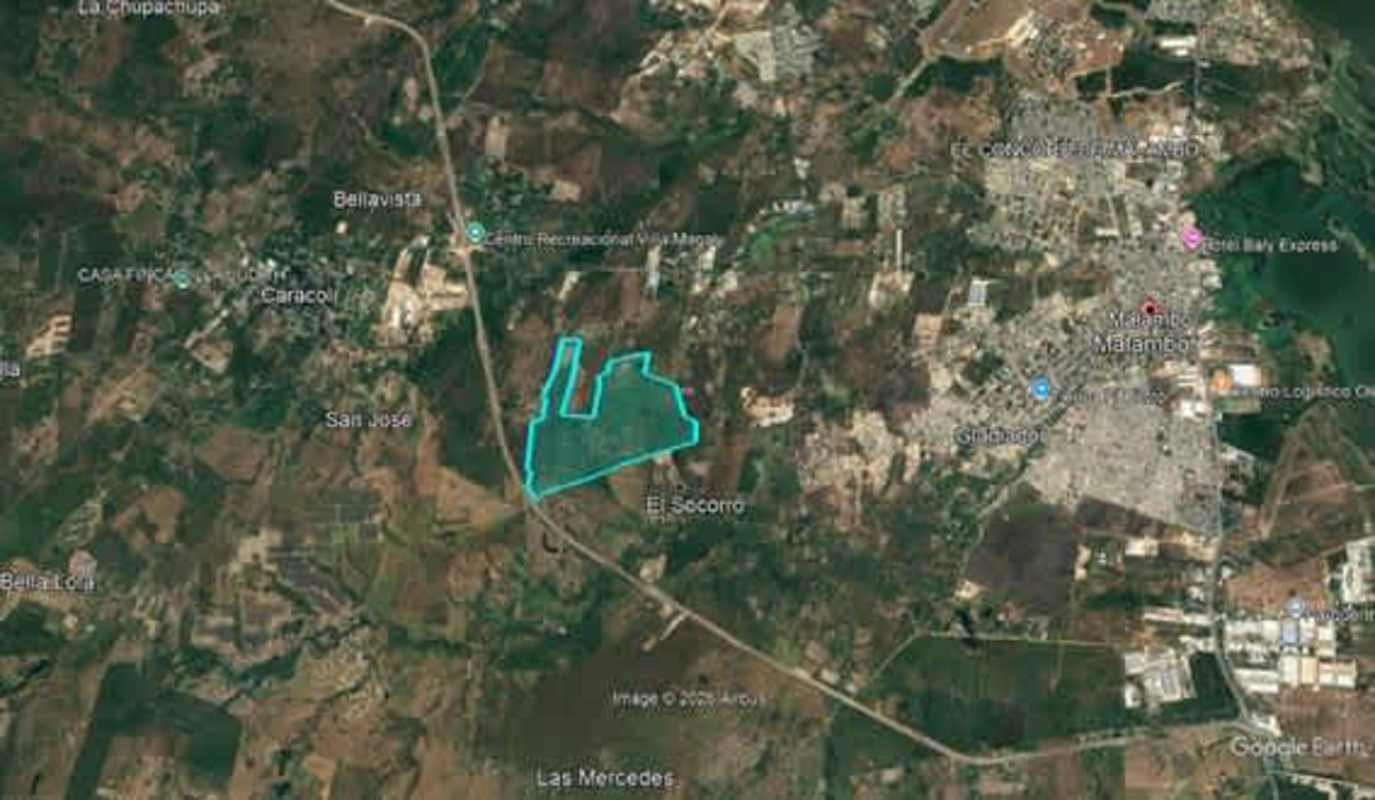 Land Malambo | venta | VENTA FINCA MALAMBO 96 HAS - CULTIVO DE MANGO ...