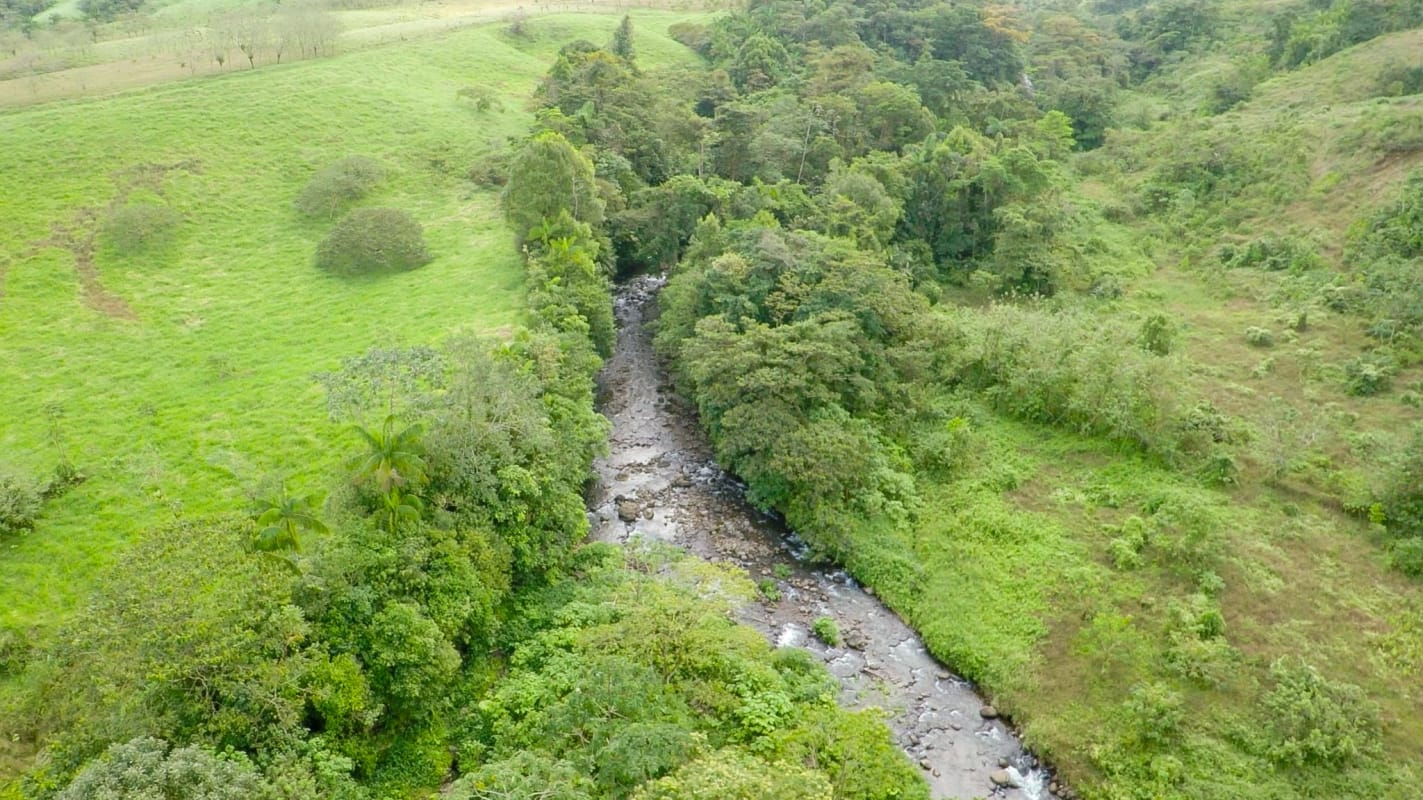 Farms San Ramón | venta | Land for sale, Los Angeles, in San Ramon ...