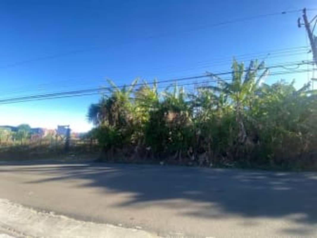 Lotes y Terrenos Cartago | venta | Se vende lote en Concepción de Tres ...