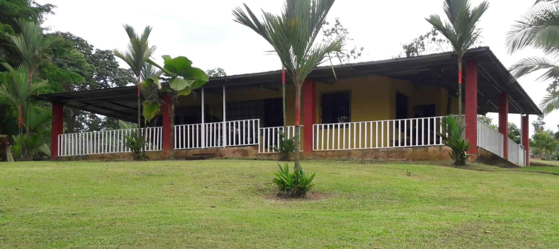 Fincas en Costa Rica Guácimo | venta | Se vende finca, Pocora, Guacimo ...