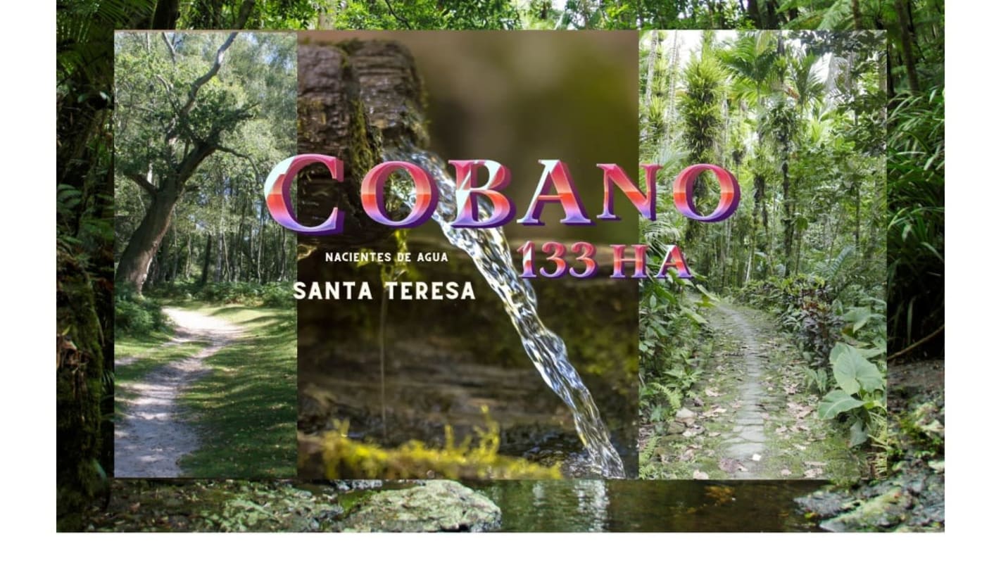 Fincas en Costa Rica Cóbano | venta | Finca de montaña con mucha agua ...