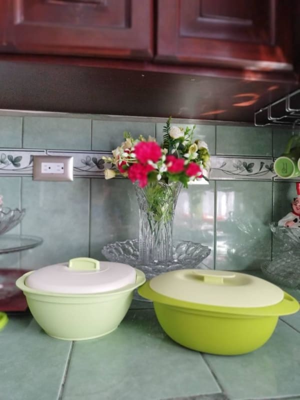 Kitchen Furniture | Olla ovalada Topperware con tapa color verde claro ...