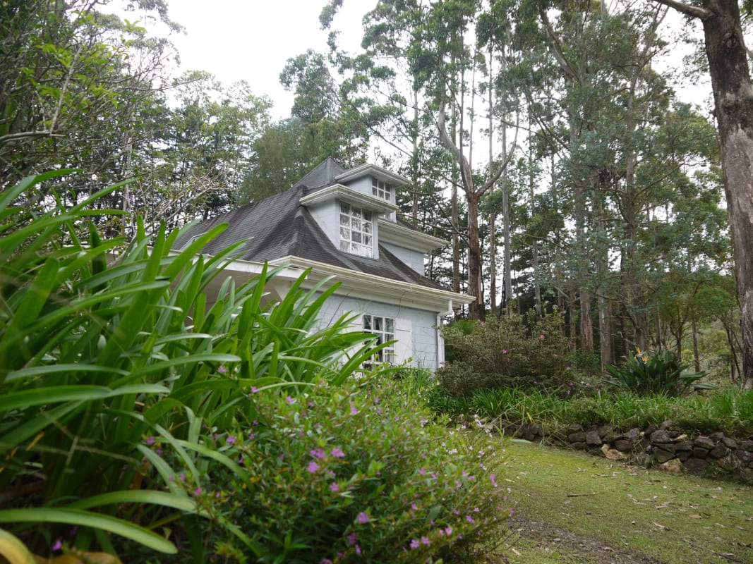 Houses in Santa María | For Sale | House for sale surrounded by nature ...