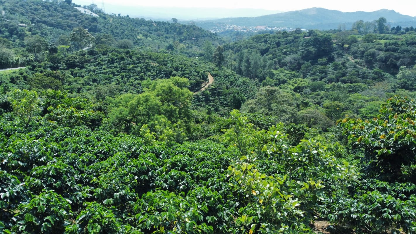 Land Cirrí Sur | venta | FARM FOR SALE, ALAJUELA, NARANJO : USD 875000.00