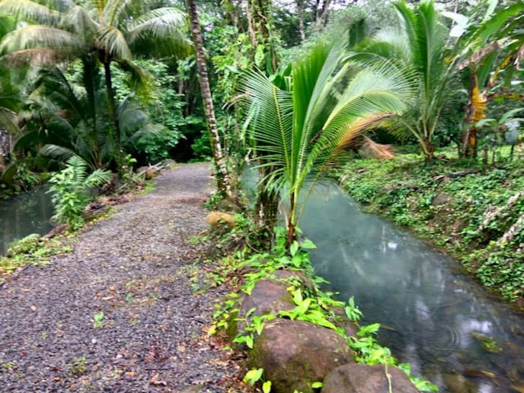 Fincas en Costa Rica San Ramón | venta | Venta finca Alajuela San Ramon ...