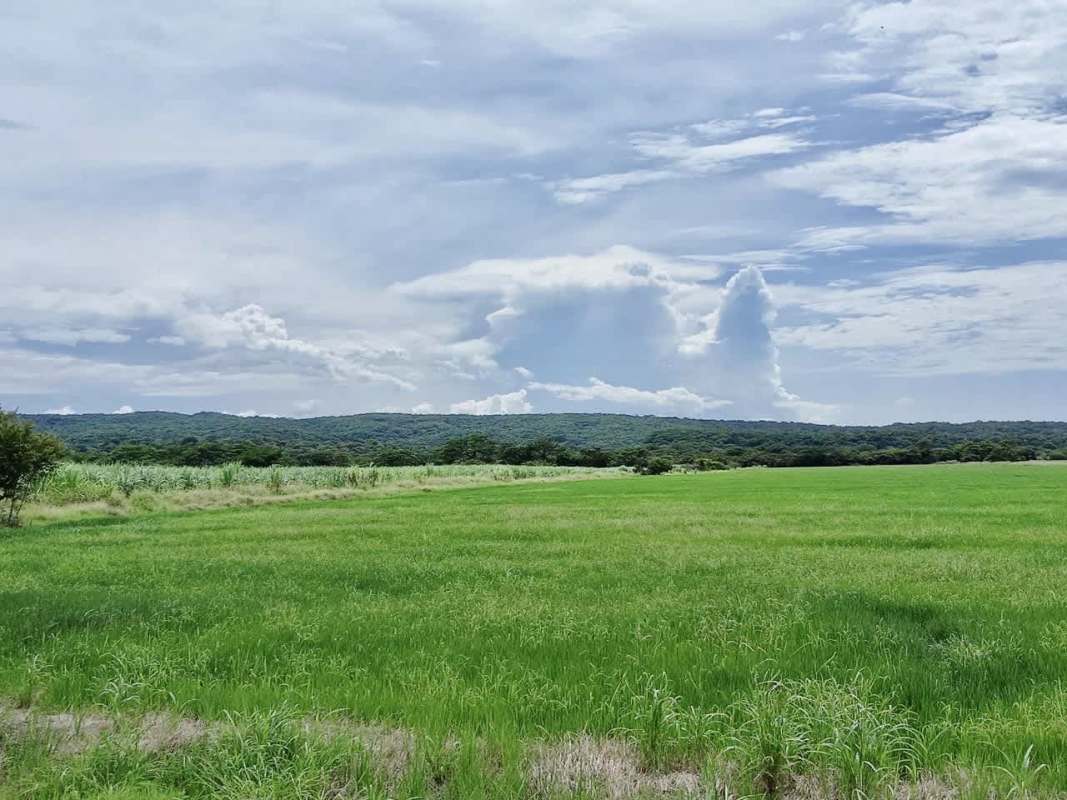 Fincas en Costa Rica Bagaces | venta | Venta finca Guanacaste Bagaces GANGA 8 hec x 45 mill col ...