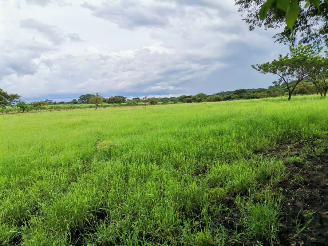 Fincas en Costa Rica Bagaces | venta | Venta finca Guanacaste Bagaces ...