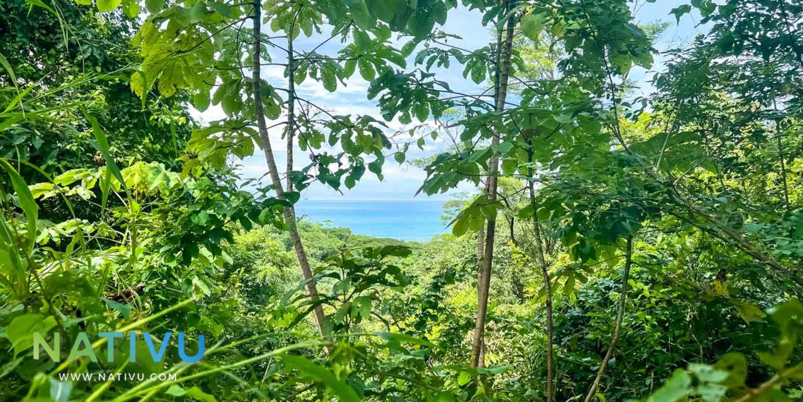 Land Manzanillo | venta | Private Ocean View Land Between Hermosa and ...