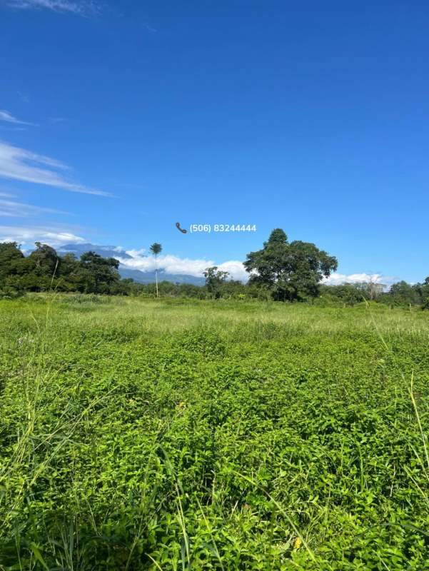 Lotes y Terrenos Guácimo | venta | VENTA DE LOTE EN POCORA DE GUACIMO ...
