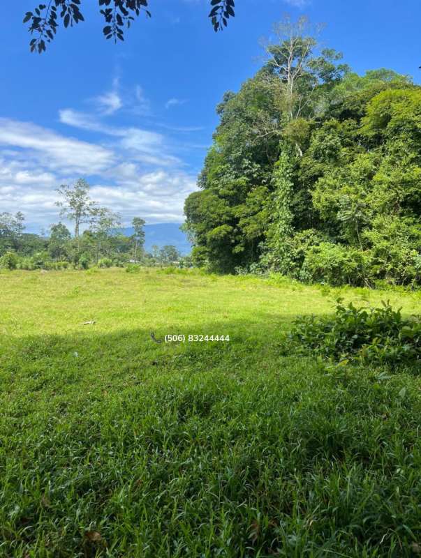 Fincas en Costa Rica Guácimo | venta | VENTA DE FINCA EN POCORA ...