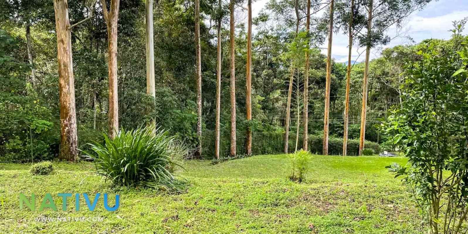 Lotes y Terrenos Tres Ríos | venta | Venta de lote en San Ramón de Tres ...