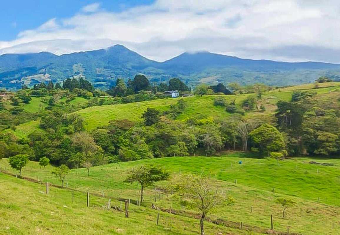 Fincas en Costa Rica San Jerónimo | venta | Finca lechera en producción ...