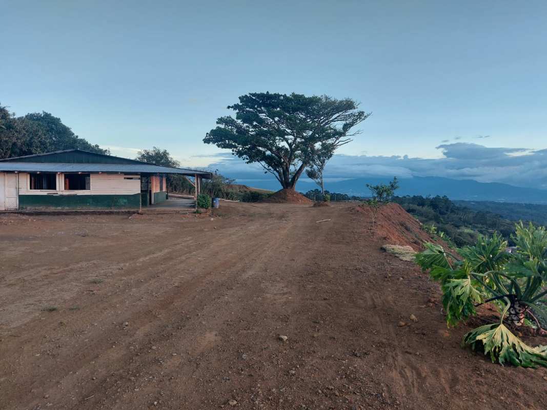 Lotes y Terrenos Poás | venta | Venta de lote para construcción ó uso ...