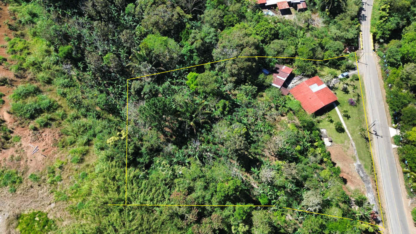 Houses in San Ramón | For Sale | Propiedad en Santiago de San Ramon, 80 ...