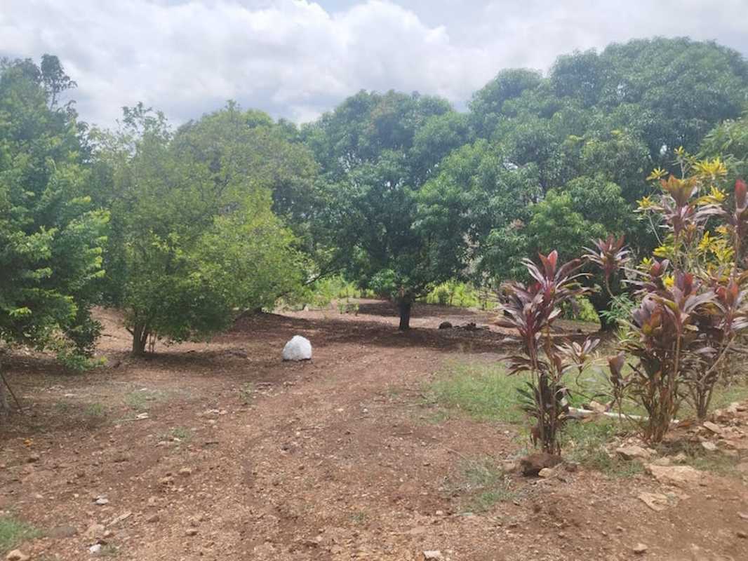 Fincas en Costa Rica Orotina | venta | Finca 1 Hectárea con Casa y ...