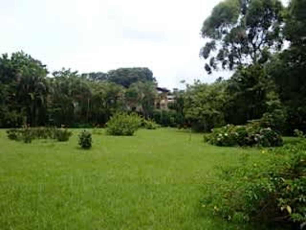 Fincas en Costa Rica San Isidro | venta | Finca Hermosa con Casa y ...