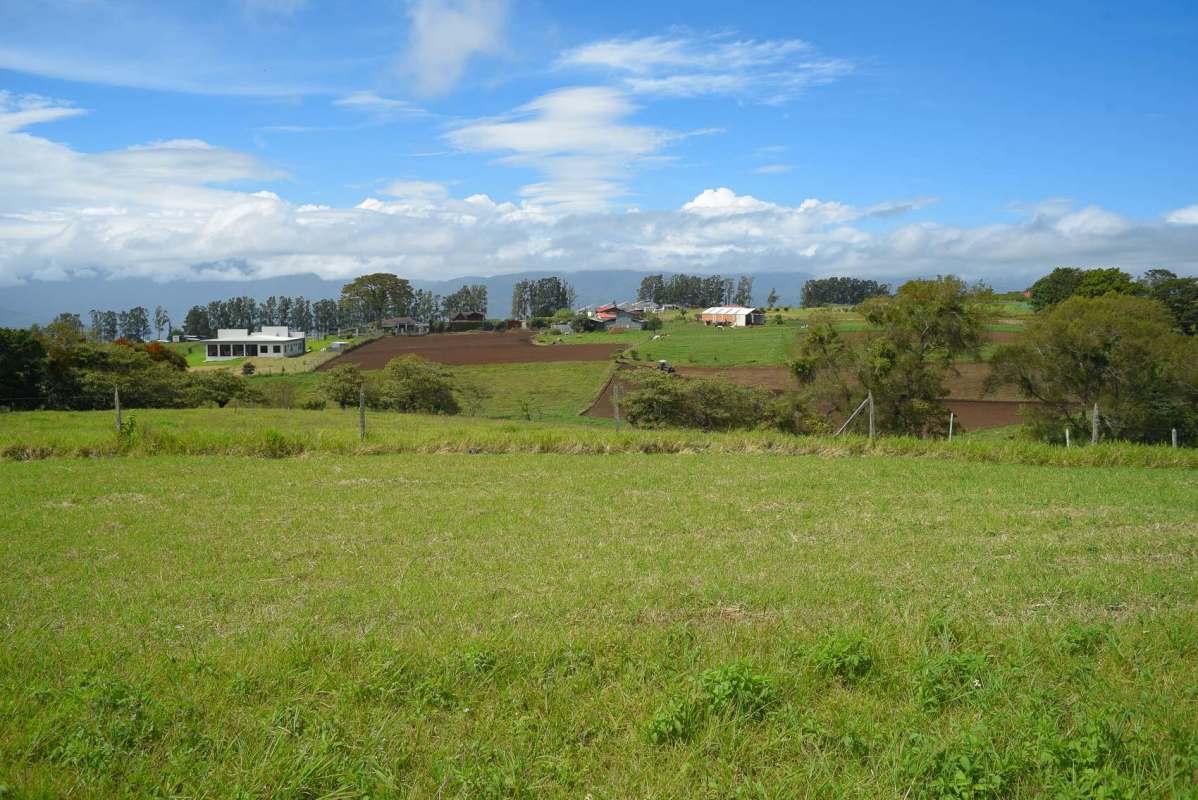 Lotes y Terrenos Cipreses | venta | Venta de lote Paso Ancho de Cartago ...