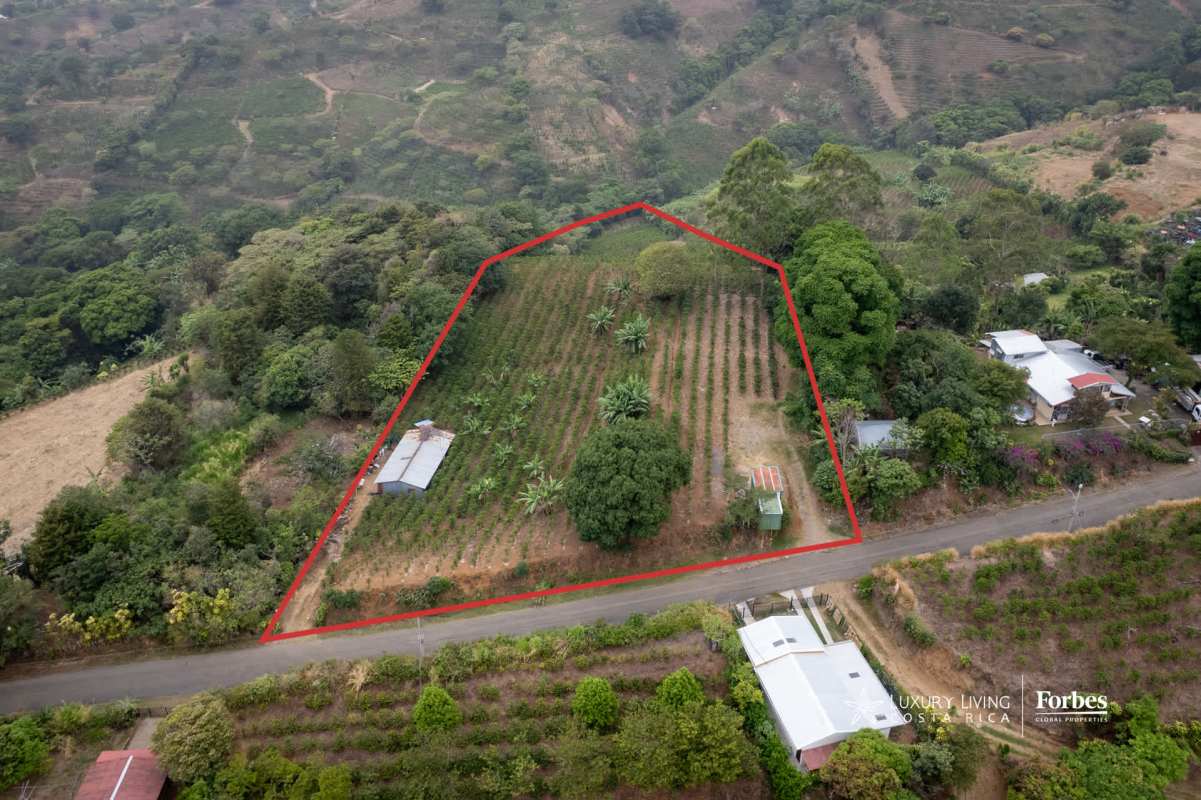 Fincas en Costa Rica Grecia | venta | 20999 - Finca Monte Claro ...