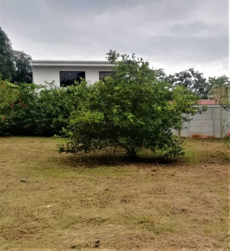 Lotes y Terrenos Orotina | venta | Orotina | Lote en Orotina, cerca de ...