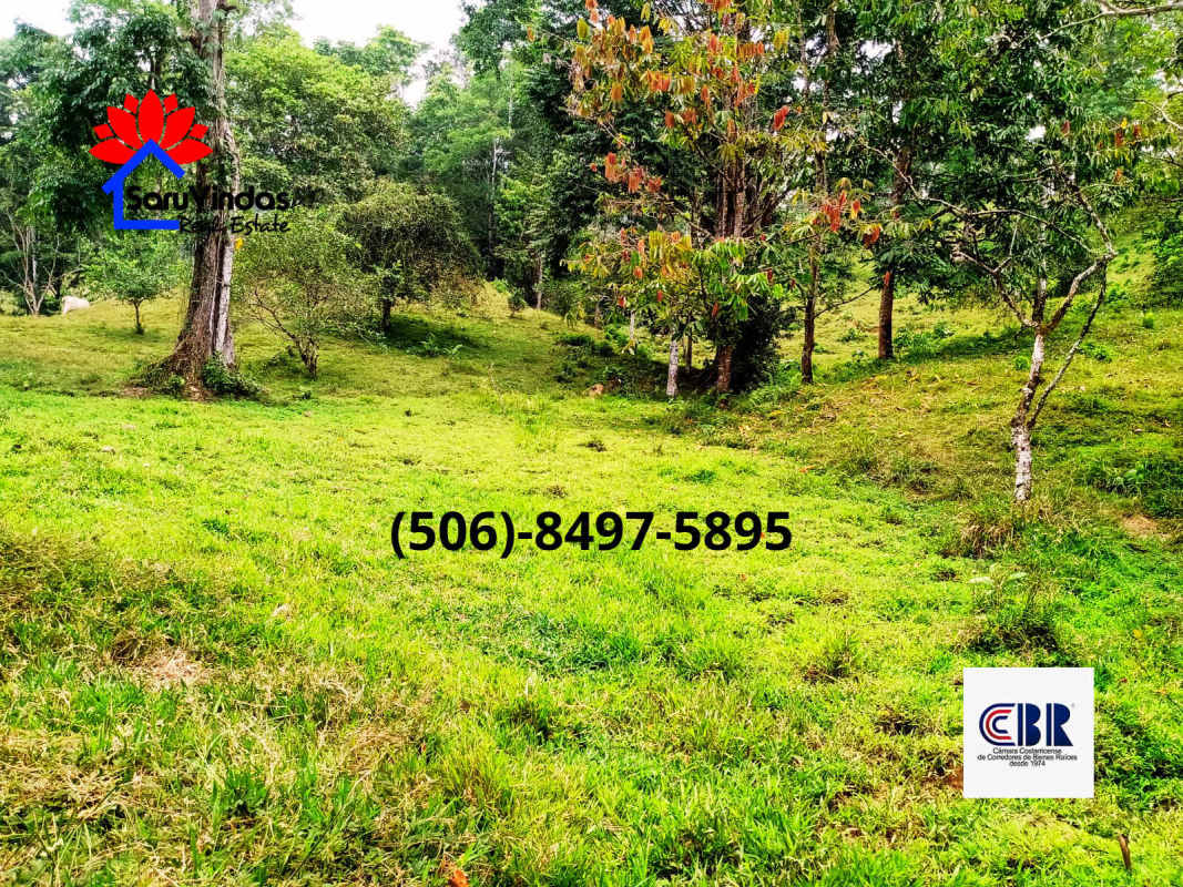 Fincas en Costa Rica Limón | venta | Increible Finca, con cataratas ...