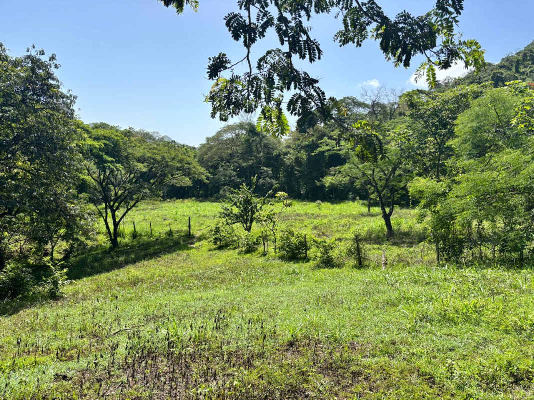 Fincas en Costa Rica Mansión | venta | Finca para Ecoturismo en Mansión ...