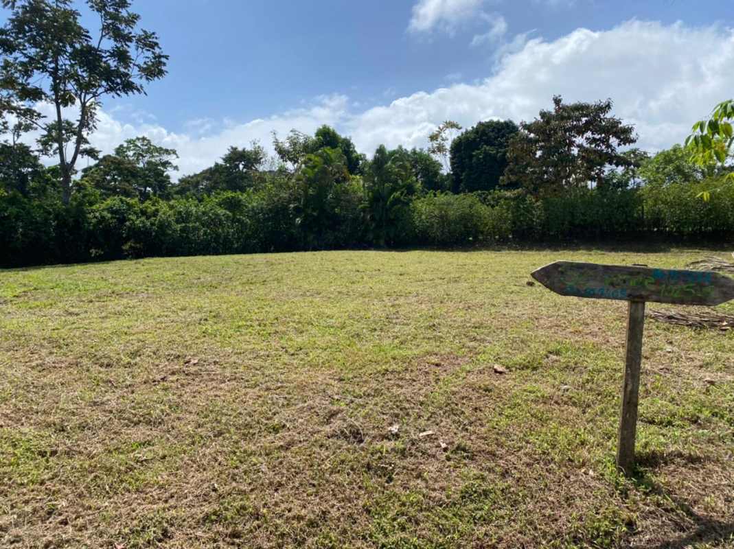 Land San Ramón | venta | LAND FOR SALE – 1,572 m² IN PEÑAS BLANCAS, SAN ...