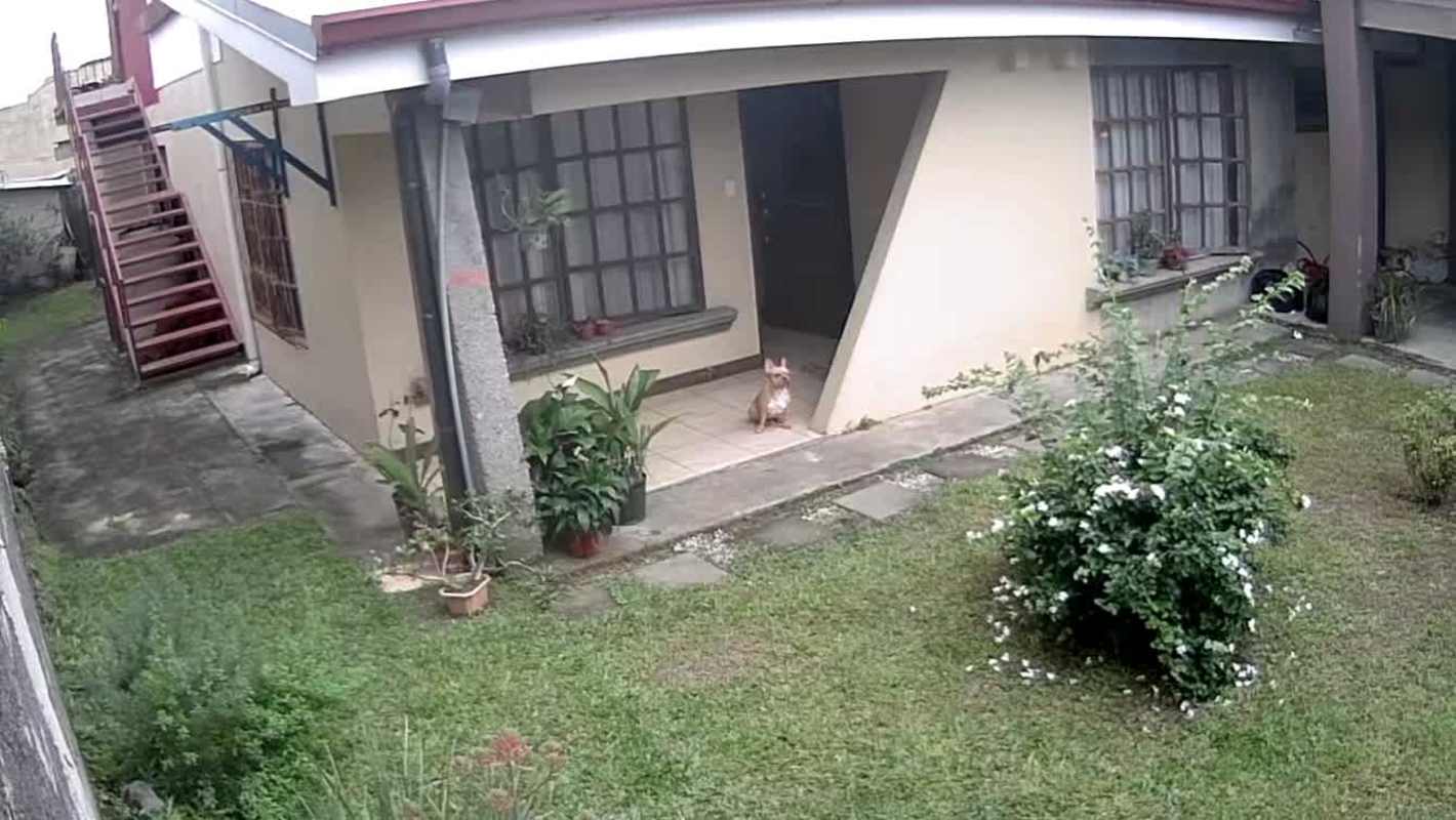 Se vende terreno amplio con casa y apartamento | 3 Recamaras por 105000000.00 en Alajuela