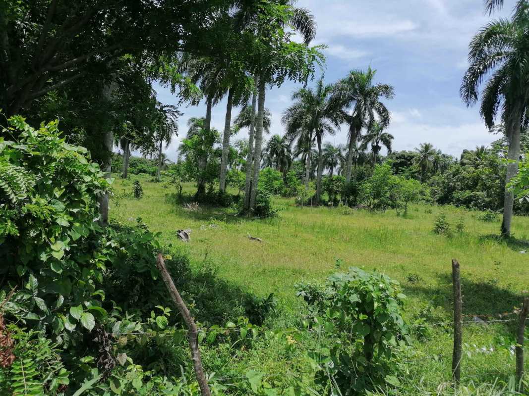 Fincas en Dominicana Distrito Nacional | venta | Terreno en Guerra ...