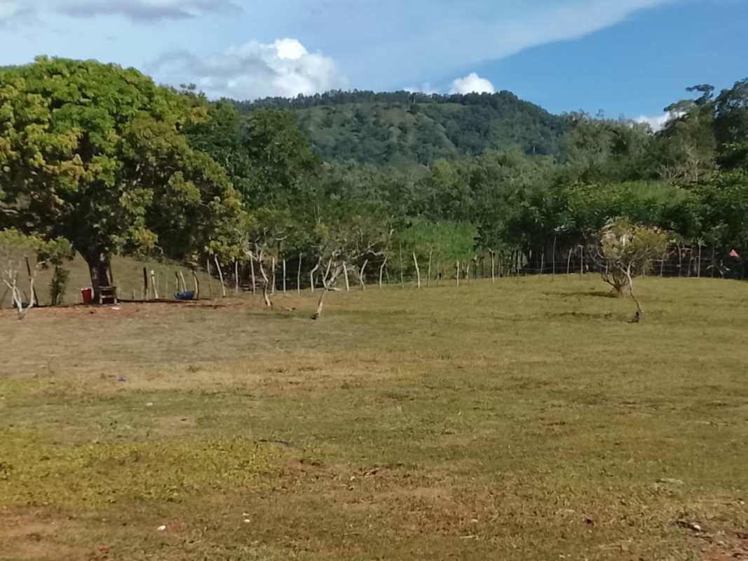 Fincas en Dominicana Monseñor Nouel | venta | FINCA DE VENTA EN BONAO ...