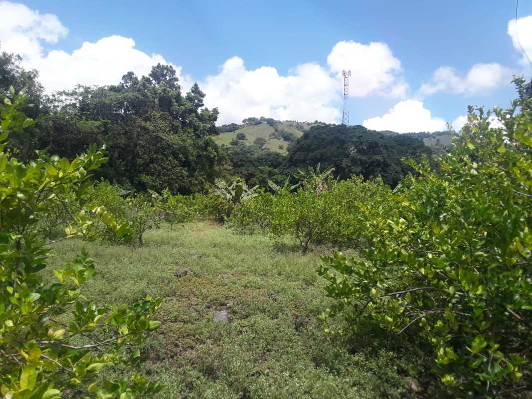 Fincas en Dominicana Monseñor Nouel | venta | FINCA DE 34 TAREAS DE ...