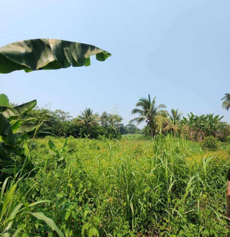 Farms Escuintla | venta | En Venta finca +40Mil Varas en el Km. 78 Ruta ...