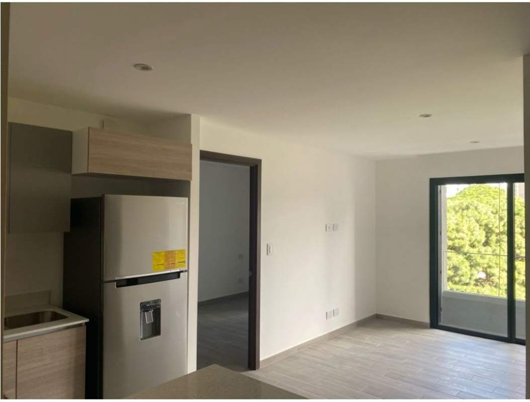 Apartments for rent in Zona 10 | Apartamento en Renta, Zona 10-Parque ...