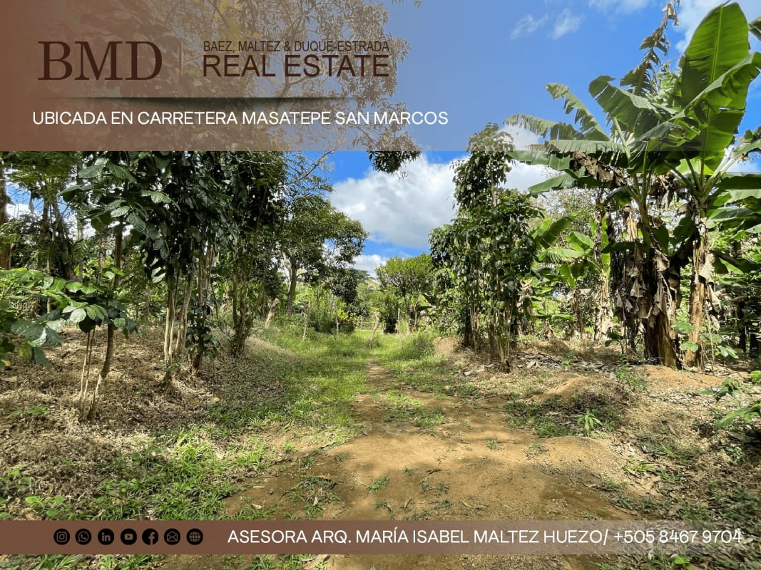 Fincas en Nicaragua Masatepe | venta | Venta de Finca en Carretera ...