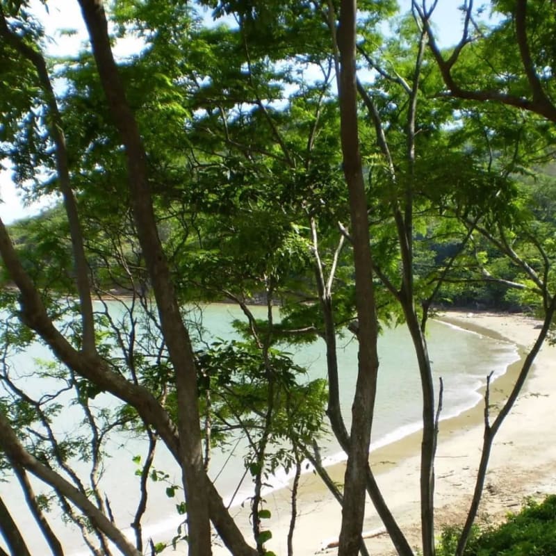 Beachfront Rivas | venta | Beach Front Lot For Sale : USD 35000.00