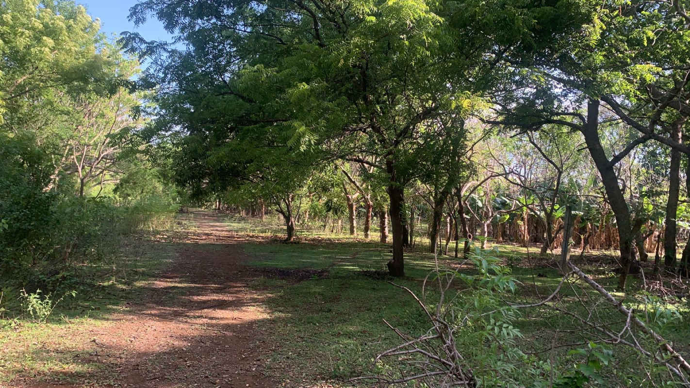 Lotes y Terrenos Masaya | venta | Venta de terreno amplio en zona ...