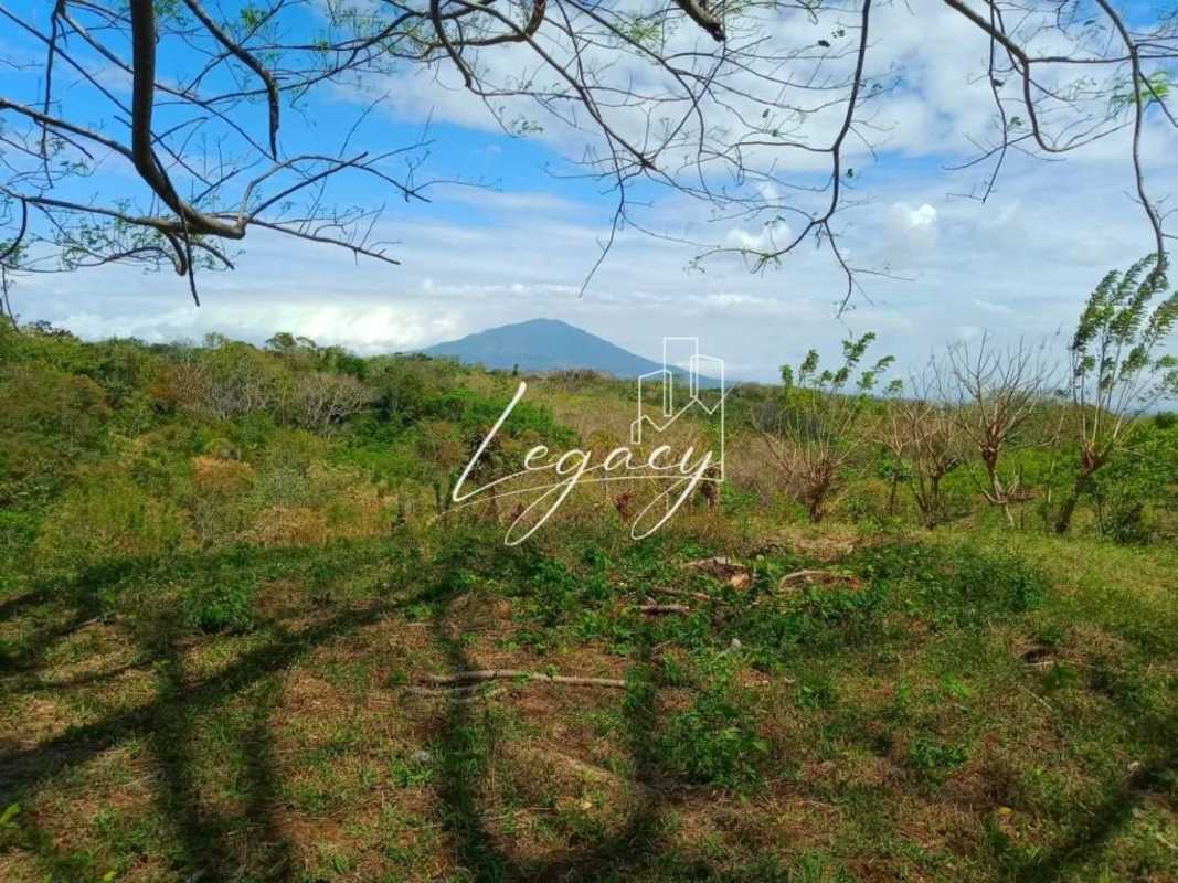 Land Masaya | venta | LLD-Venta de Finca Productiva en Niquinohomo ...