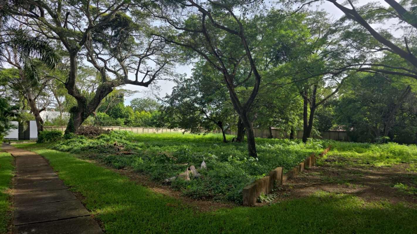 Lotes y Terrenos Santo Domingo | venta | Terreno en venta en Santo ...