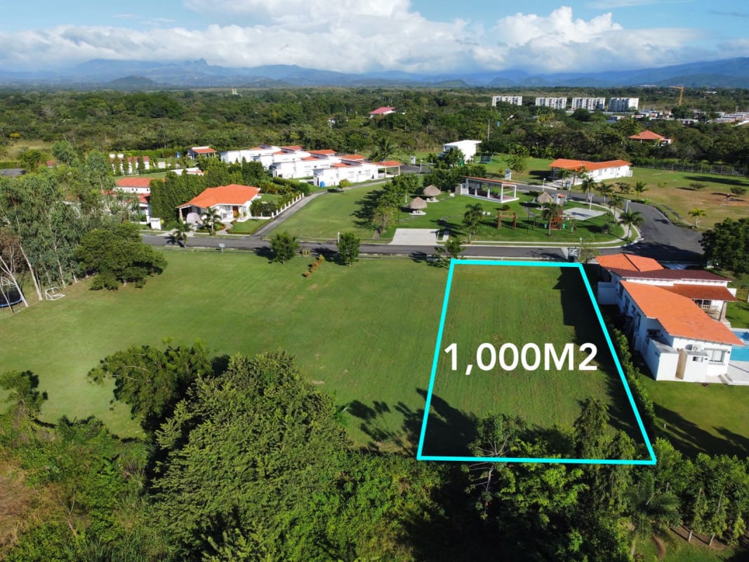 1000 m2 - Tìm Hiểu Chi Tiết Diện Tích và Ứng Dụng