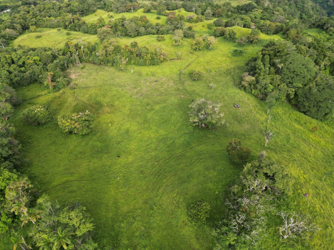 Fincas en Panamá Renacimiento | venta | Finca en Chiriqui, Renacimiento ...