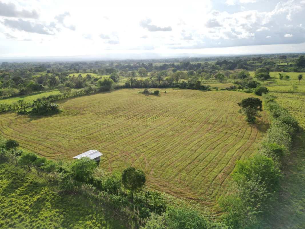 Fincas en Panamá Bugaba | venta | Finca en Chiriqui, Siogui, 6.1 hectáreas : USD 165000.00