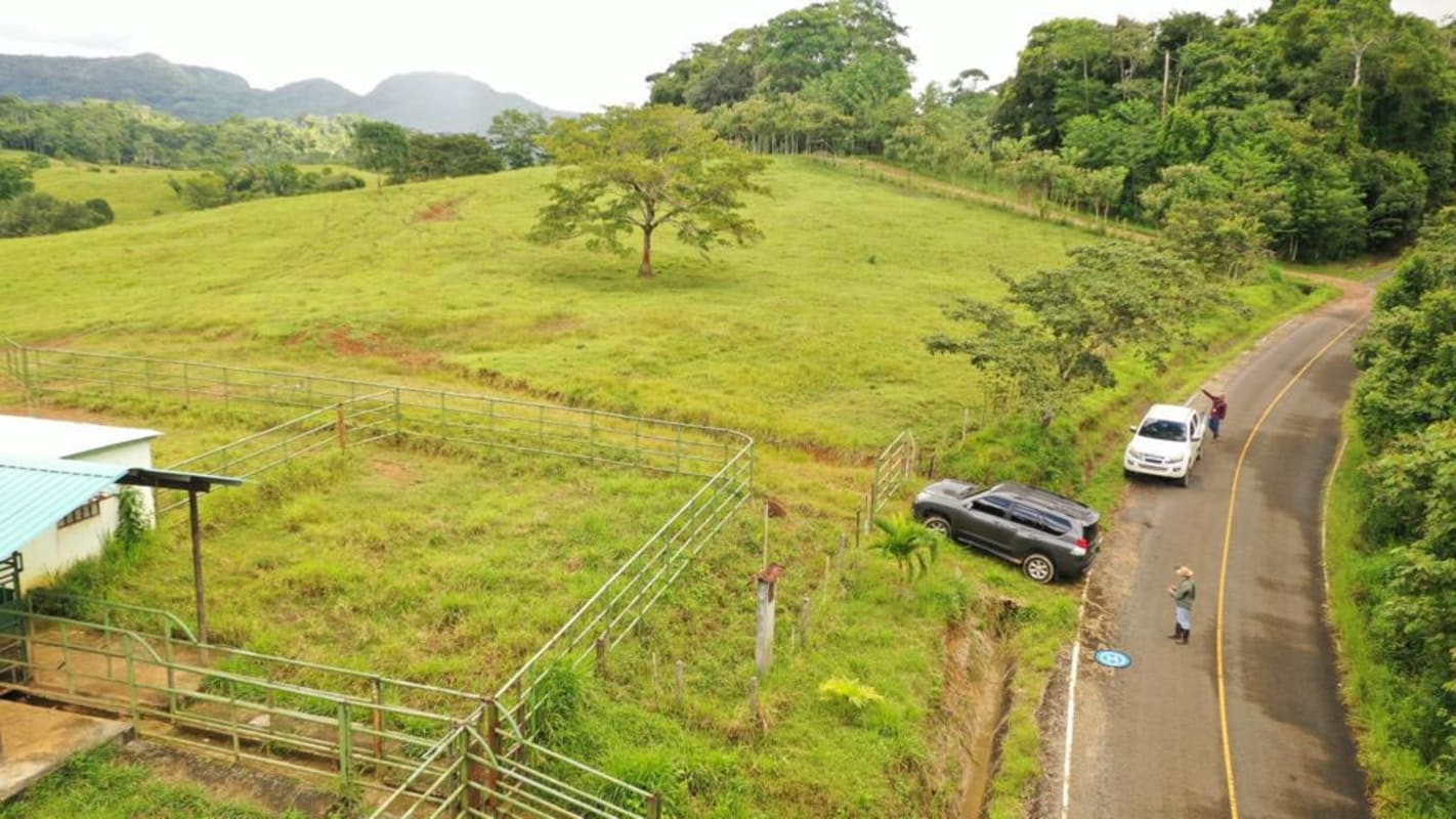 Fincas en Panamá Penonomé | venta | Venta de Finca en Penonomé, Coclé ...