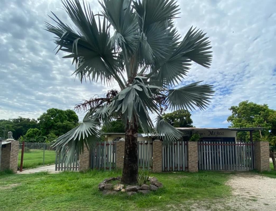 Penonomé, El Coco | 2 Recamaras por 90000.00 en El Coco