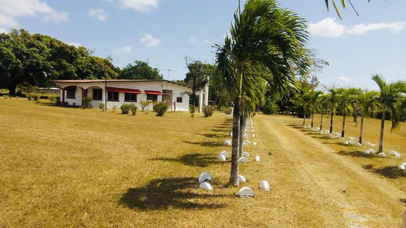 Fincas en Panamá Río Hato | venta | VENTA DE FINCA EN RÍO HATO / ANTÓN ...