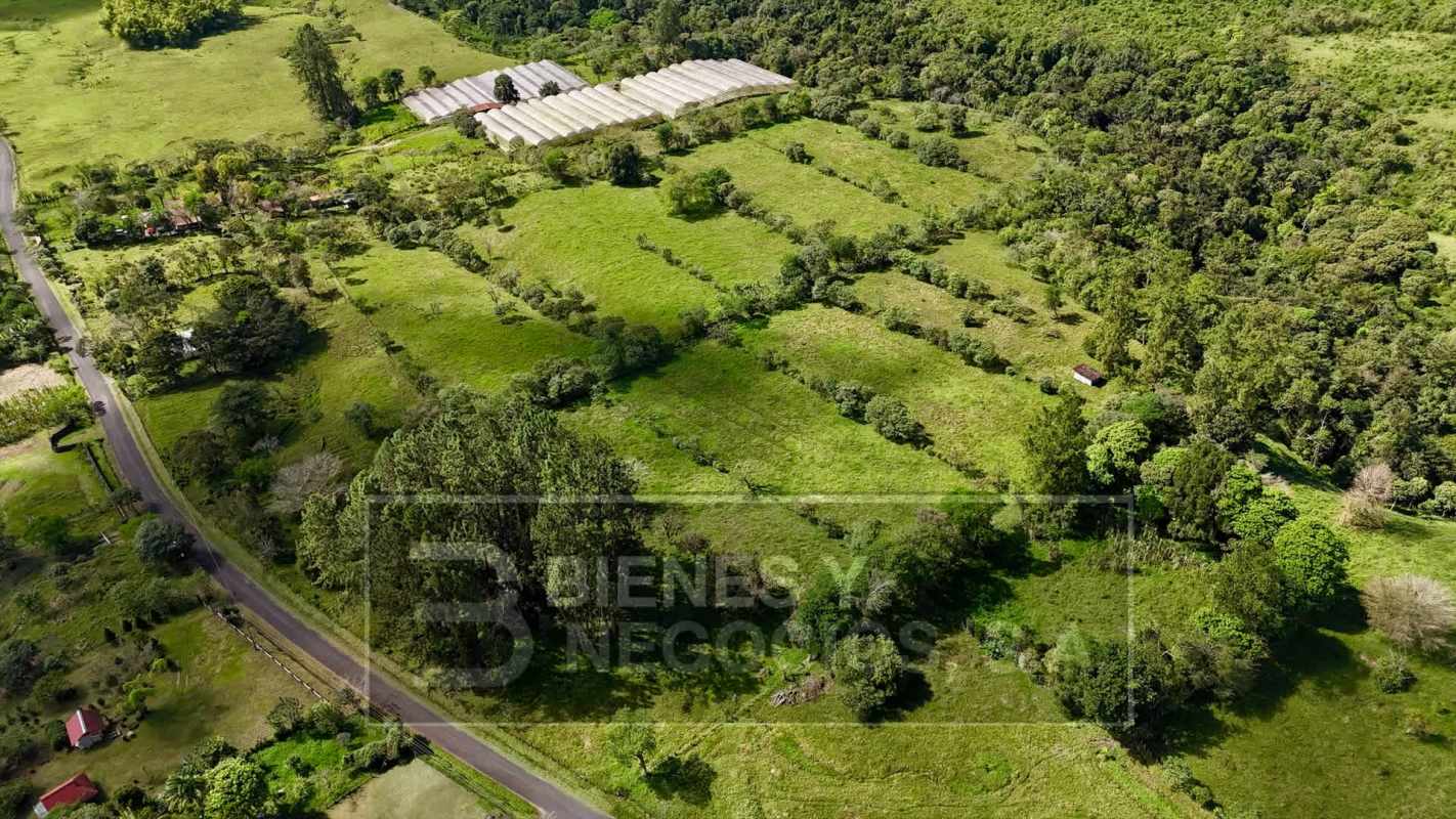 Fincas en Panamá Boquerón | venta | Finca en Chiriqui, Boqueron , 6.5 ...