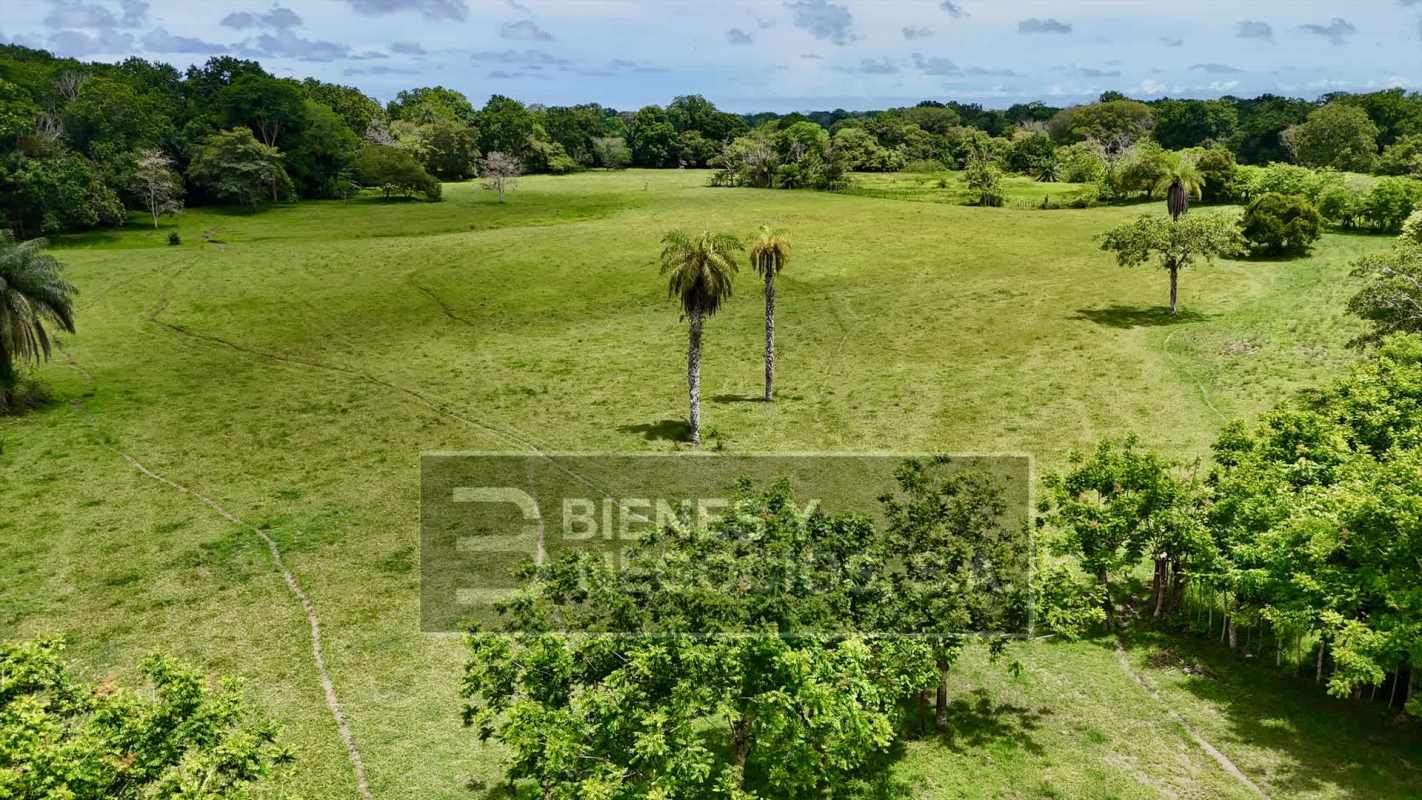 Fincas en Panamá Canta Gallo | venta | Finca en Chiriqui, Alanje, 9.3 ...