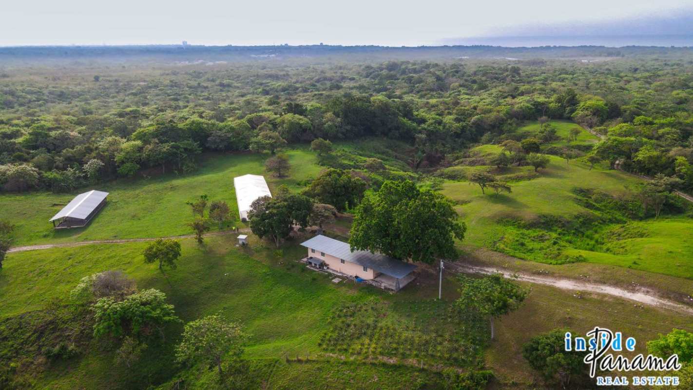 Fincas en Panamá San Carlos | venta | Finca Idílica con Invernadero en ...