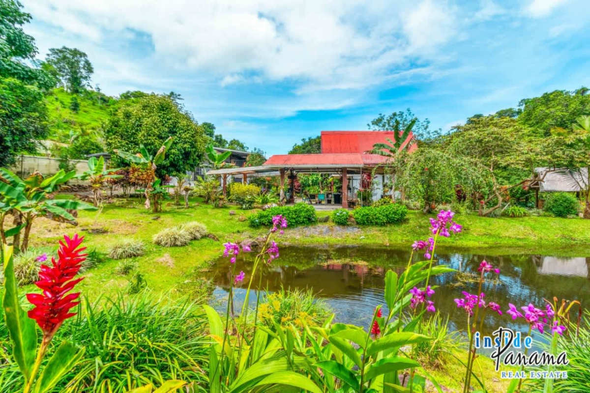 Fincas en Panamá Bugaba | venta | Finca Con Vistas a las Montañas en ...