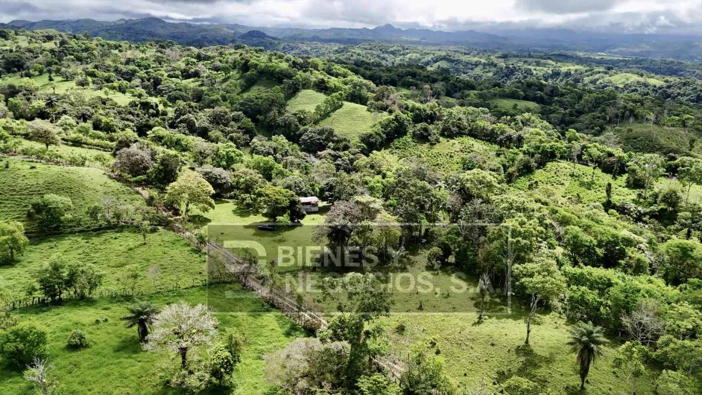 Fincas en Panama Bugaba | venta | Finca en Chiriqui, San Andrés 8.7 ...